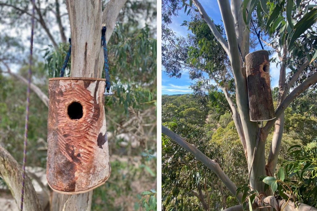 Nest Box Installation - Heartwood Habitat